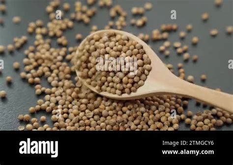 Aromatic Seed Stock Videos And Footage Hd And 4k Video Clips Alamy