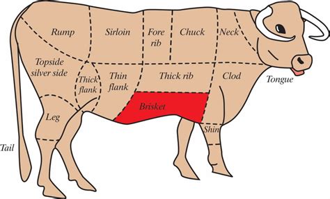 Diagram Of Beef Cuts On Cow Beef Meat Cuts Chart