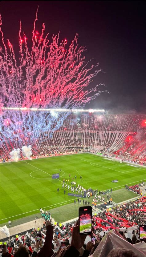 Monumental Campeón 2023 River Plate ️🐔 Fotos De River Imagenes De