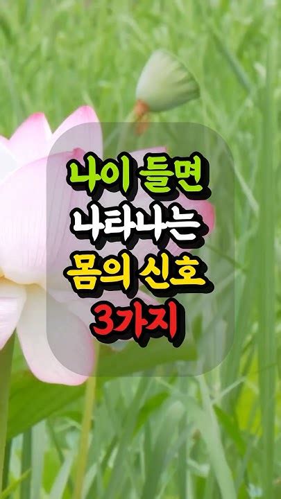 나이들면 나타나는 몸의 신호 3가지 노화신호 Youtube