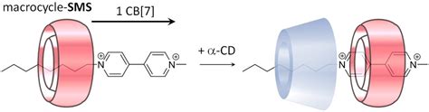 The Diversity Of Cucurbituril Molecular Switches And Shuttles