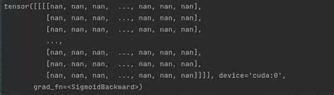 The Network Output Will Become Nan Issue RonyAbecidan ManTraNet Pytorch GitHub