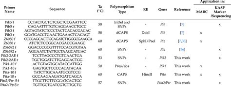 List Of The Primers For Each Primer The Name Sequence Annealing