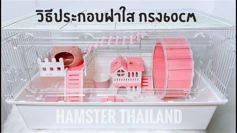 วิธีประกอบฝาใสอะคริลิค 60cm กรงแฮมสเตอร์ By Hamster Thailand Youtube