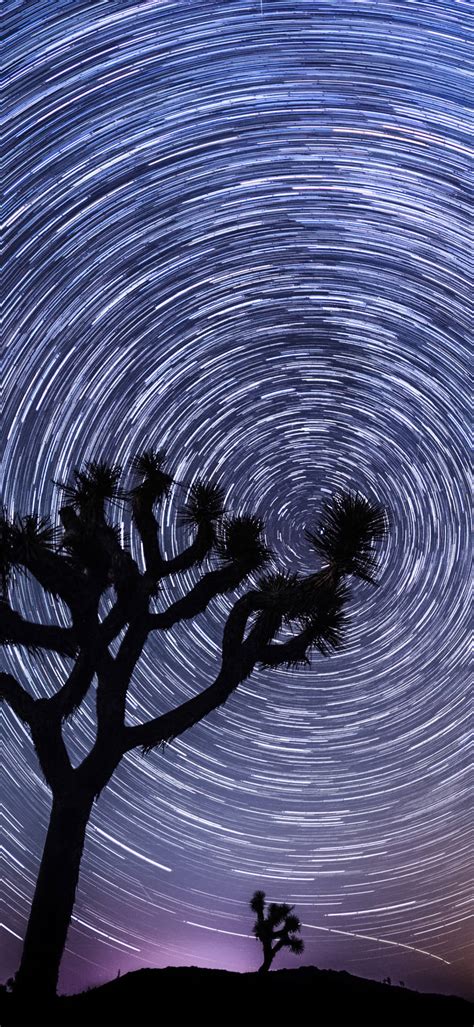 100 Xiaomi Redmi Note 9 Wallpapers