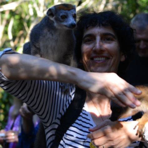 Irit Sadeh Bar Ilan University Ramat Gan Biu School Of Education