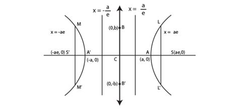 Hyperbola Standard Equation Conjugate Hyperbola With Examples