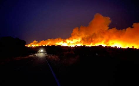 Los Municipios Extremeños Que Hayan Sufrido Incendios Ya Pueden Pedir