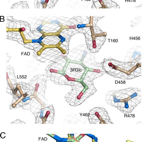 Homotetramer Structure And Superposition Of The Monomer Structure Of Pc Download Scientific