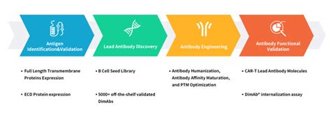 A Look Back Fda Approval Of Monoclonal Antibodies In 2023 Dima