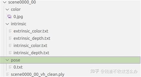 Pytorch D Scannet