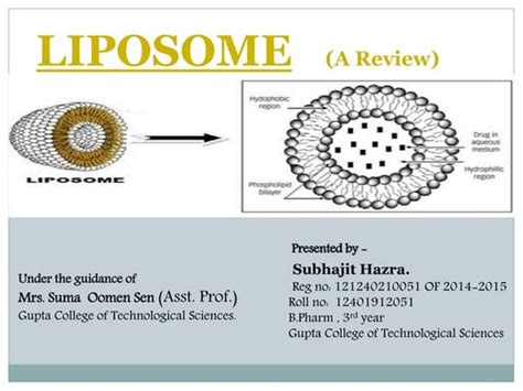 Liposomesthe Most Promising Drug Delivery Systems Ppt