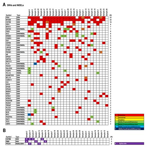 Summary Of Somatic Mutations In 27 Pcnsl Specimens A Representative