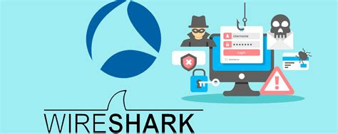 Cursos En Udemy Hacking Y M S Cursos Avanzados