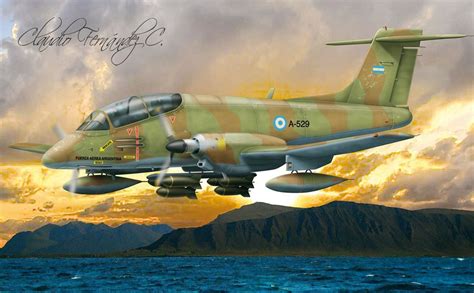IA 58 Pucará en Malvinas Aviones de combate Imágenes militares