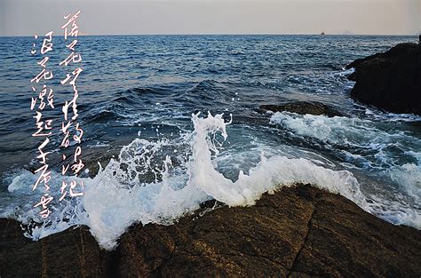 落花无情散满地·浪花激起千层雪kl525 站酷zcool