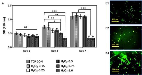 A Effect Of H2o2 Concentrations On In Vitro Cell Viability Of Mscs