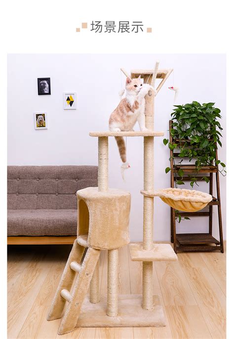 猫爬架高度多少合适 什么样的猫爬架最实用 猫爬架越高越好吗 大山谷图库
