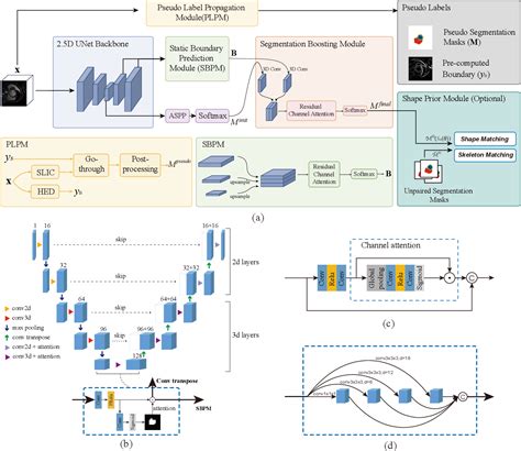 volumetric medical image segmentation via scribble annotations and