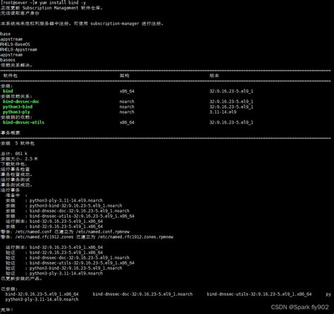 配置dns服务器：实现正反向解析步骤 Csdn博客