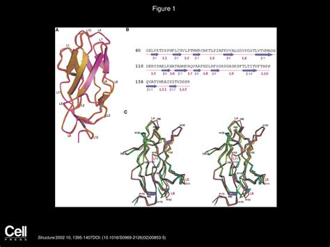 volume 10 issue 10 pages october 2002 ppt download