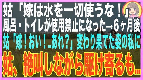 【スカッと】同居が始まった途端、義母の態度が急変「嫁は召使い！許可なくトイレも風呂も使うな！」→6ヶ月間、公園で生活を続けた結果 Youtube