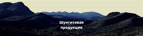 шунгитовая продукция | Шунгитовая продукция обладает богатым составом и ...