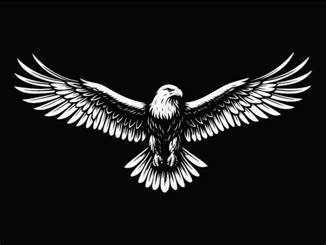 Eagle With Spread Wings Free Svg File For Members Flying Bird Clipart