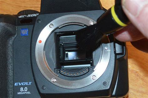 How To Clean The Mirror On A Dslr Camera At Karen Spaulding Blog
