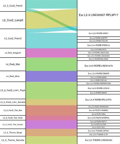 Analysis Of Smart Seq2 Data