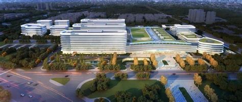 十大重点任务2022年德医这样干丨山东大学齐鲁医院德州医院召开2022年1月份质量管理考评及重点工作汇报会 诊疗 医疗 田辉