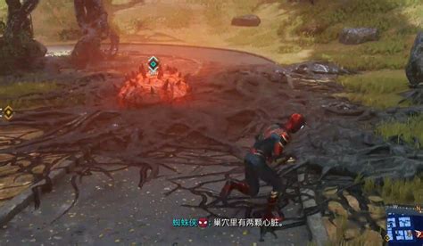 Spiderman Dm