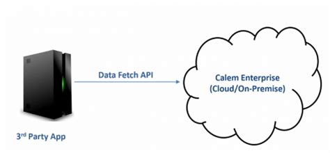 How To Fetch Data Efficiently Via REST API Clay S Blog Enterprise