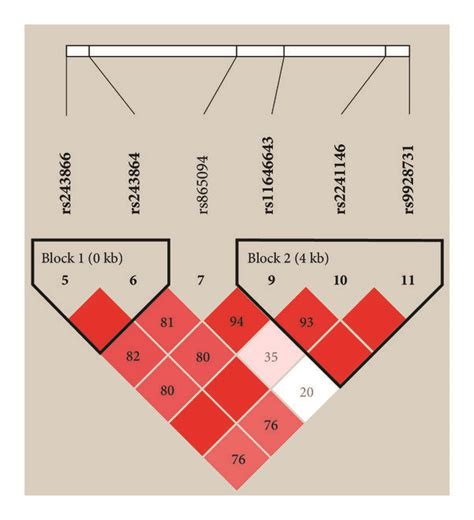 Linkage Disequilibrium Ld Plots Containing Six Snps From Mmp2 Red