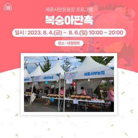 조치원사이로 다가오는 홍보 판매를 위한 조치원복숭아축제🍑 조치원복숭아축제 시민운동장 프로그램1편 ︎ 복숭아판촉 ︎
