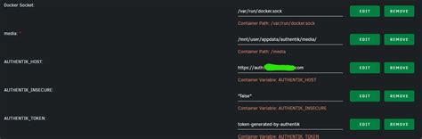 Authentik Outposts Integration Unhealthy With Docker Sock Issue 3416