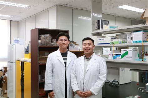 Dgist 그래핀 기반 출력 안정적인 터치 센서 개발 파이낸셜뉴스