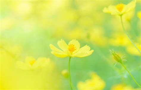 誰でも持ってるアレからくる の影響を瞬時に解決できる浄化 │ 人類救済サイト 自然の力 ハッピーティールーム