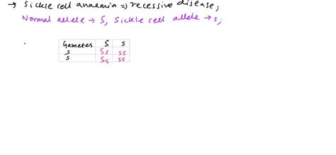Solved Draw A Punnet Square And Answer The Four Questions Below