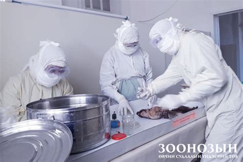 Зоонозын салбарын ажилтнуудад хөдөлмөрийн нөхцөлийн нэмэгдэл олгох