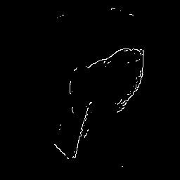Application Of The Active Contour Algorithm In An Angiocardiographic Download Scientific