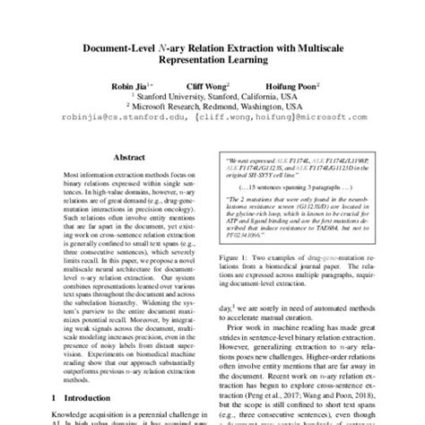 Document Level N Ary Relation Extraction With Multiscale Representation