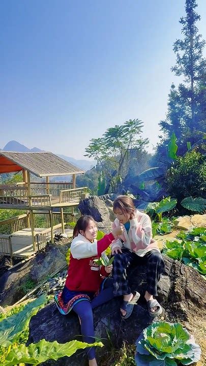 依依跟小丽数钱😂😂🤣🤣🤣 Youtube