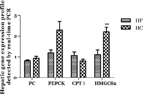 Figure 1 From Liver Metabolism Adaptation To High Concentrate Diet