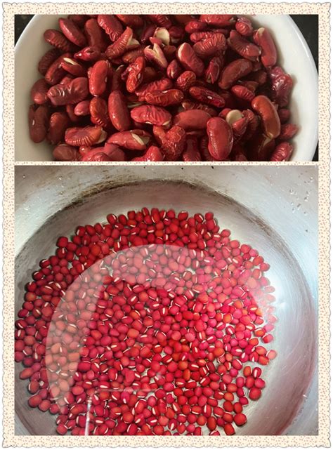 红豆沙怎么做红豆沙的做法豆果美食