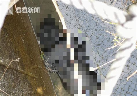 女大学生浮尸惊现水沟 男子假扮学弟在旁躺一夜看现场看看新闻网