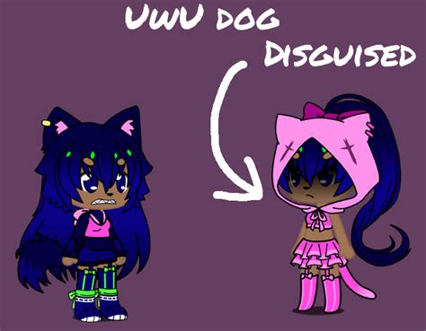 Im Bored So Introducing The Uwu Dog Basically Opposite Of Uwu Cat
