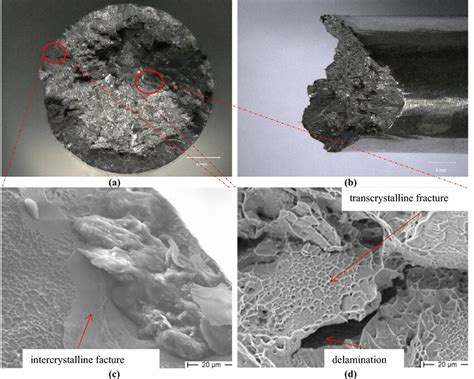 A Fracture Surface B Side View Of The Fracture Surface C