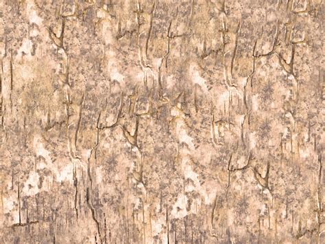 Tree Trunk Texture Stock Photo At Vecteezy Tree Trunk Texture Stock Photo At Vecteezy
