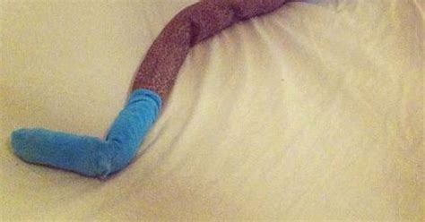 It Looks So Wrong But Feels So Right Imgur